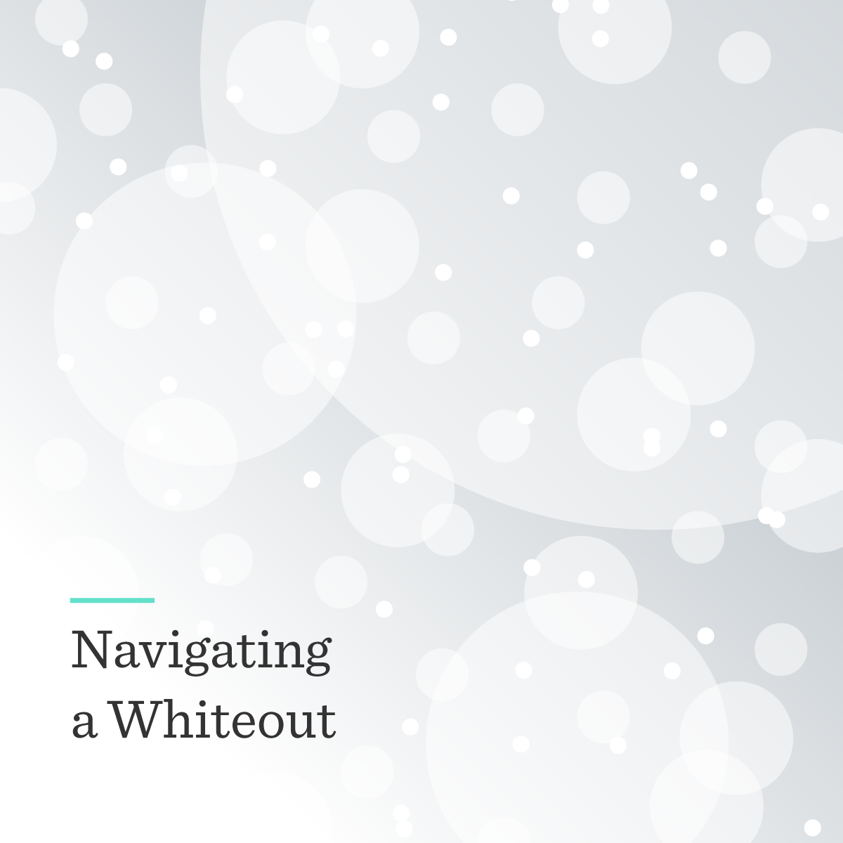 Navigating a Whiteout | Dimensional