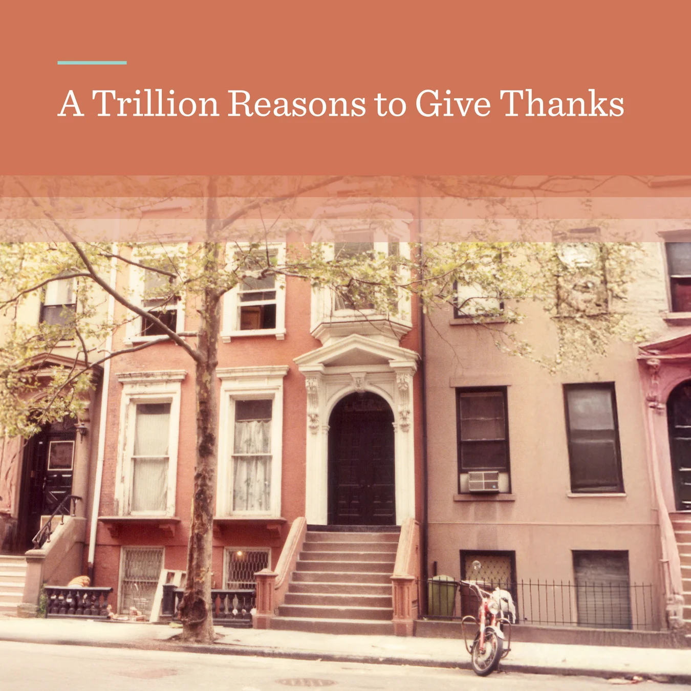 A Trillion Reasons to Give Thanks | Dimensional