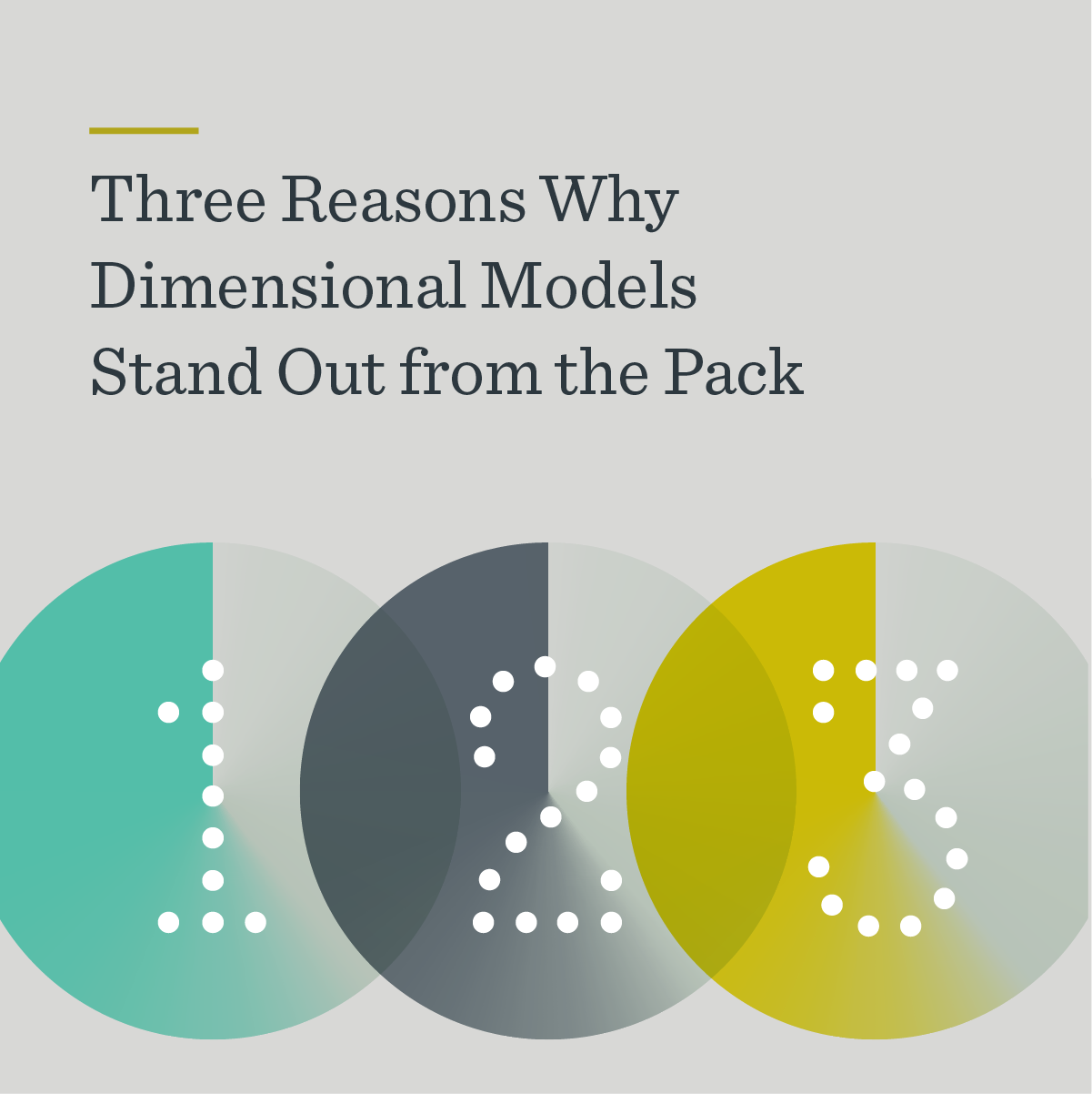 Three Reasons Why Dimensional Models Stand Out from the Pack | Dimensional