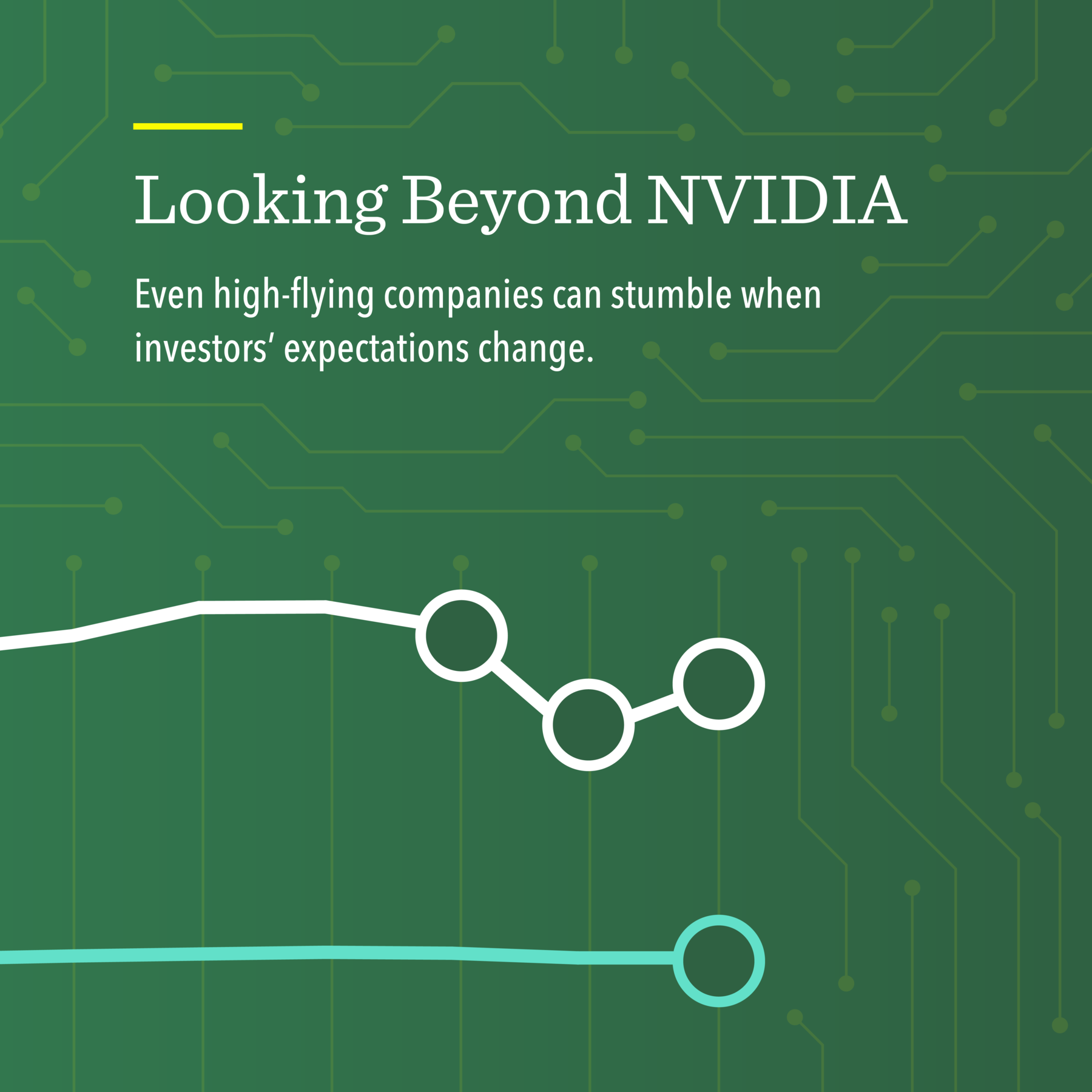 Looking Beyond NVIDIA | Dimensional