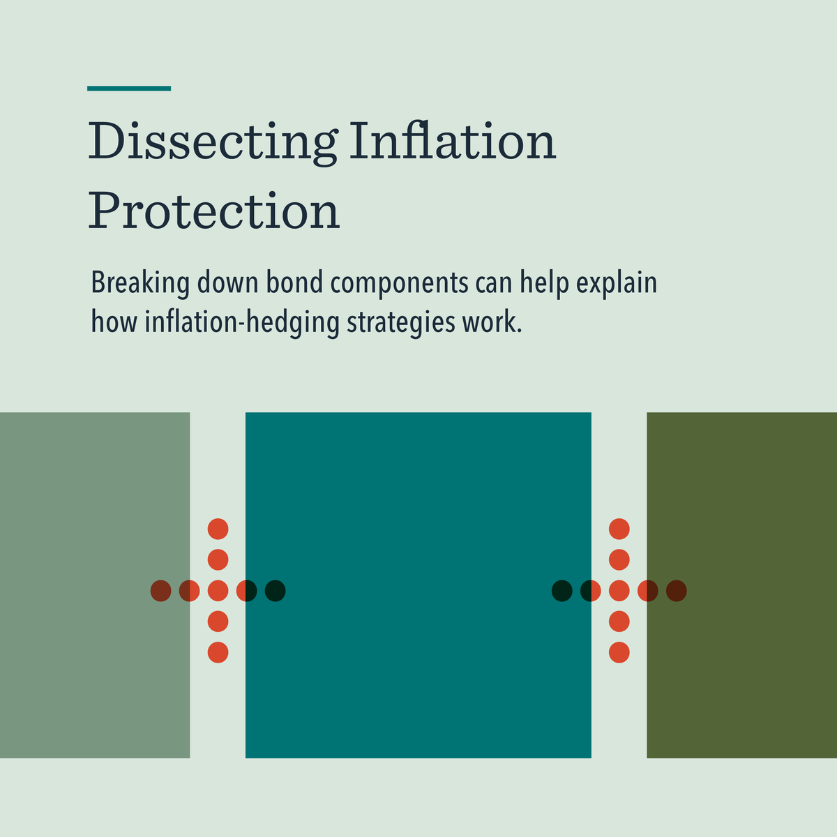 Dissecting Inflation Protection | Dimensional